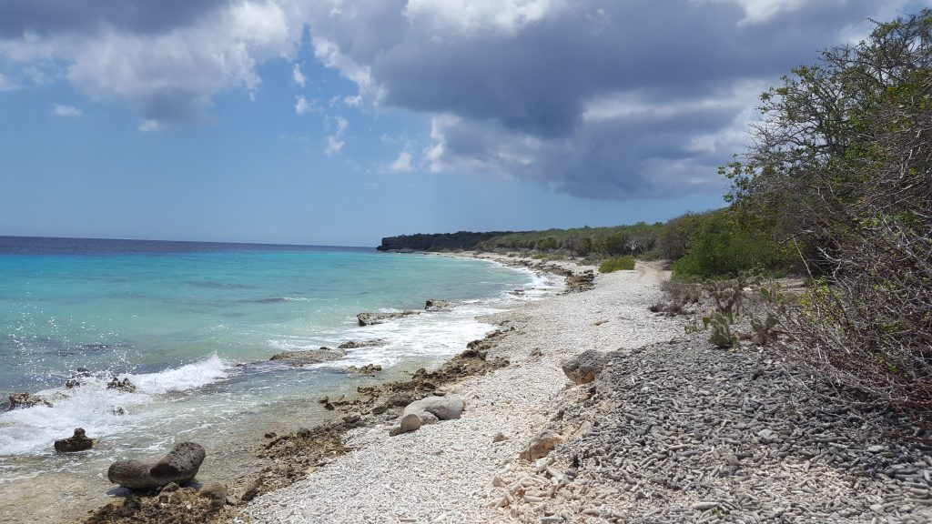 Playa Largu – Villa Coral Bay - Curaçao